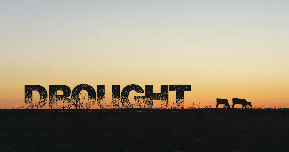 Drought - Short film | Indiegogo