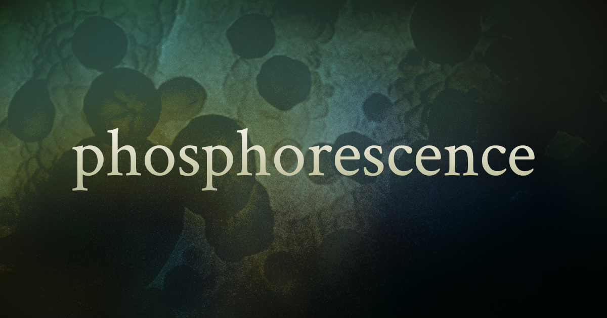 Phosphorescence - A Short Film | Indiegogo