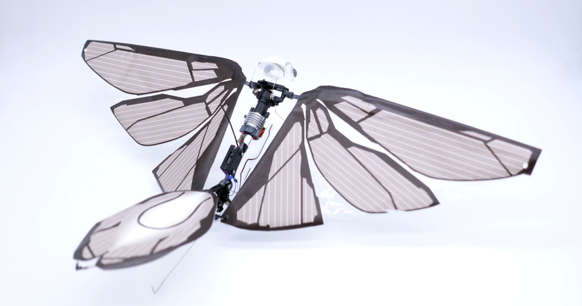 MetaFly - A New Flying Experience. | Indiegogo