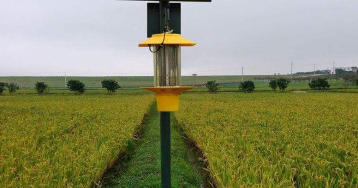 SOLAR POWER INSECTICIDAL LAMPS | Indiegogo