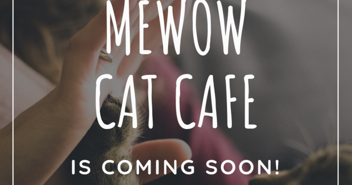 MeWow Cat Cafe Needs Help With It's Home | Indiegogo