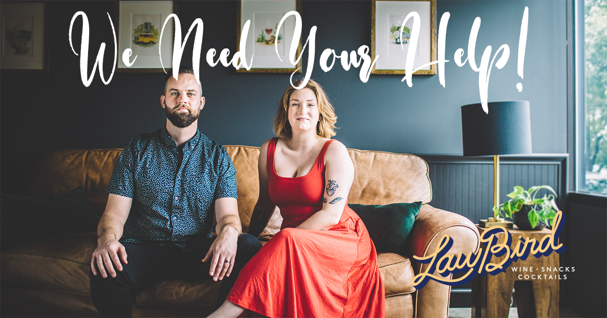 Law Bird | Indiegogo