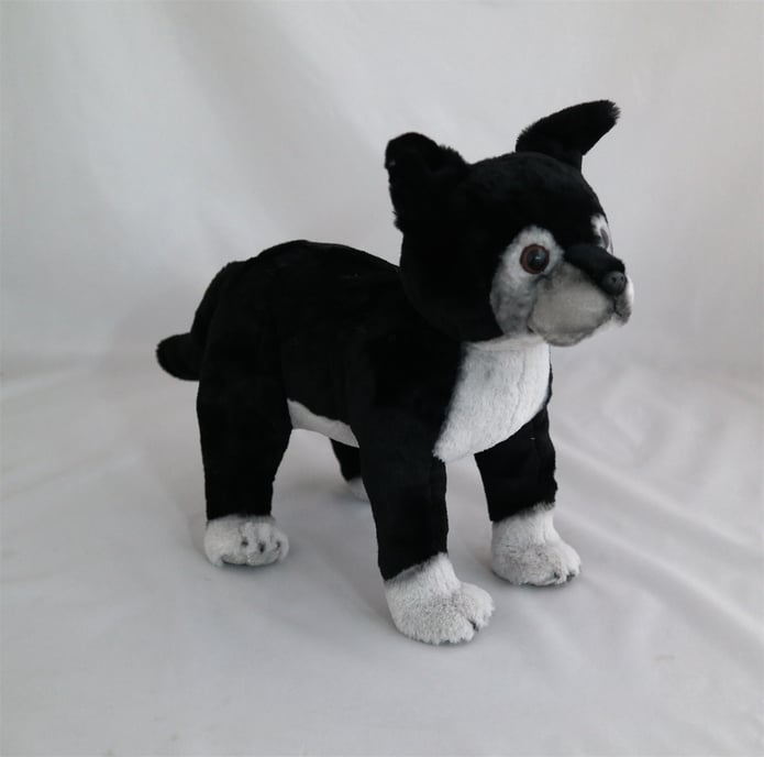 Walter plush toys to benefit dog rescue | Indiegogo