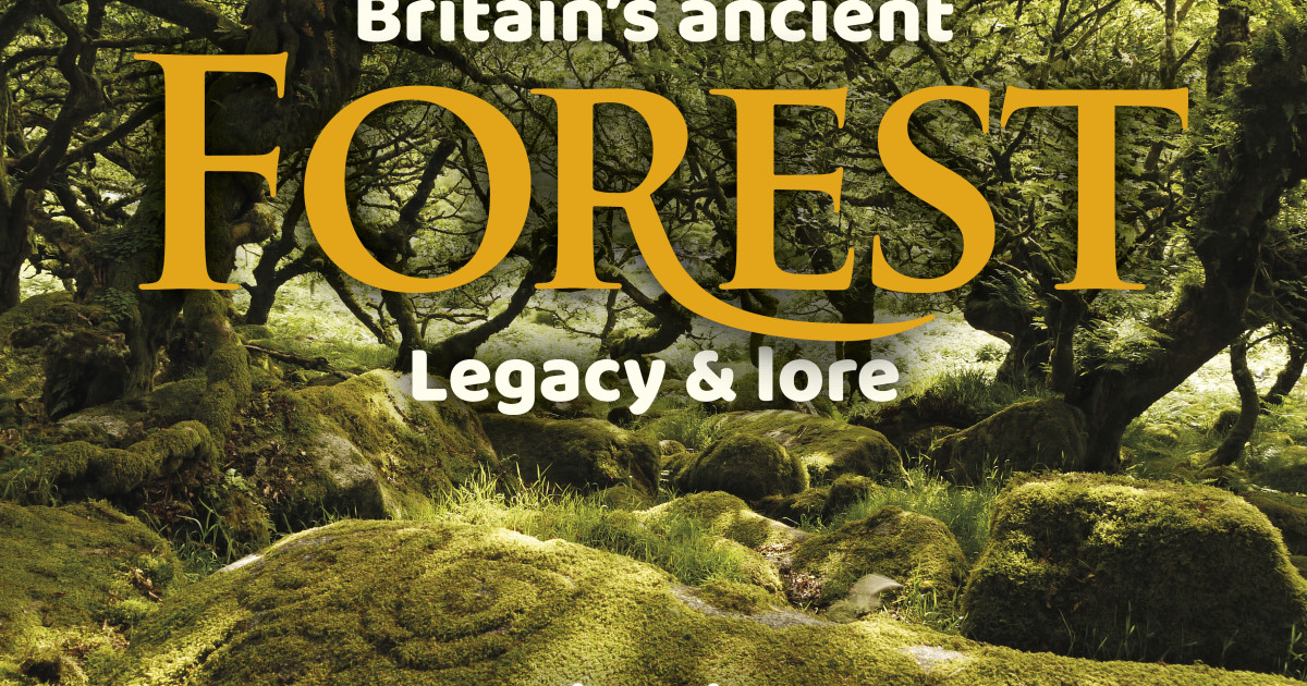 Britain's Ancient Forest, legacy and lore | Indiegogo