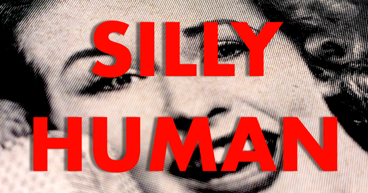 Silly Human | Indiegogo