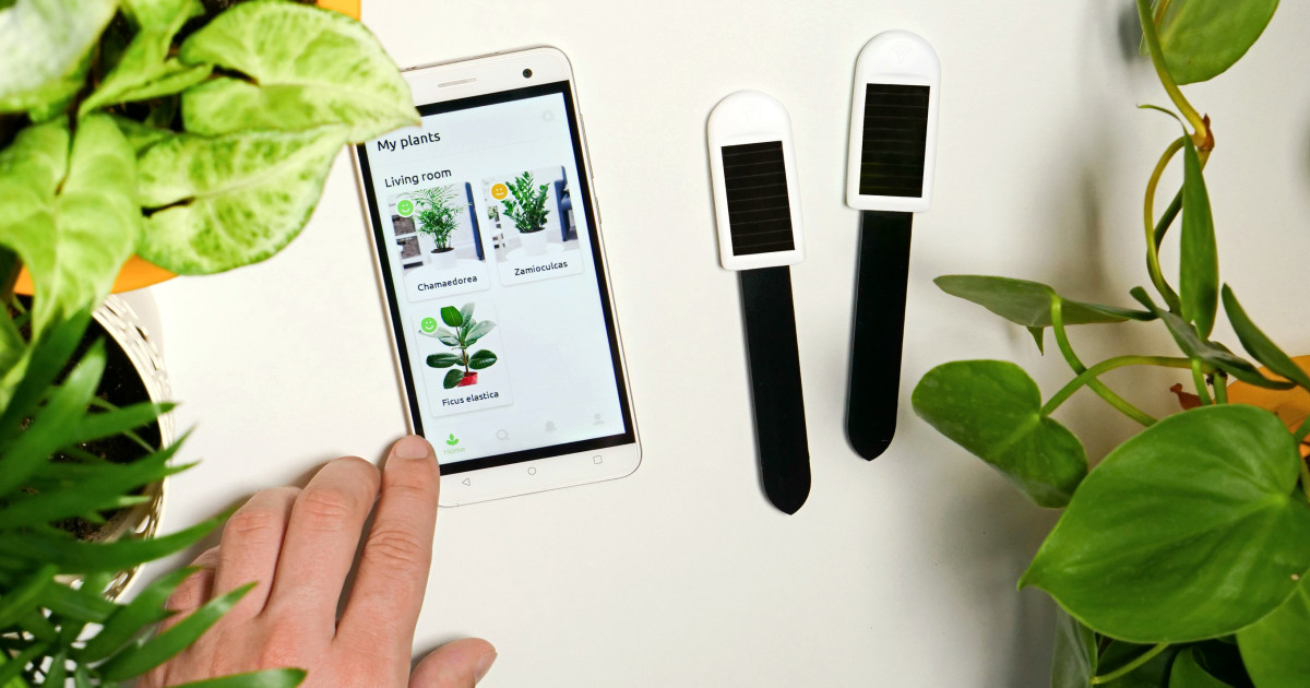 greensens: Smart Houseplant Sensor | Indiegogo