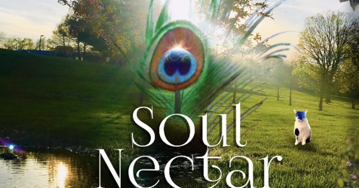 Soul Nectar Music Album | Indiegogo