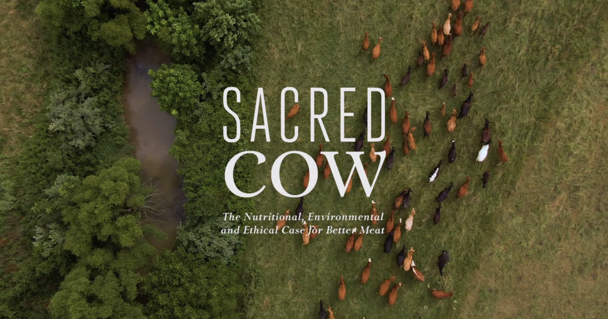 SACRED COW: THE CASE FOR BETTER MEAT | Indiegogo