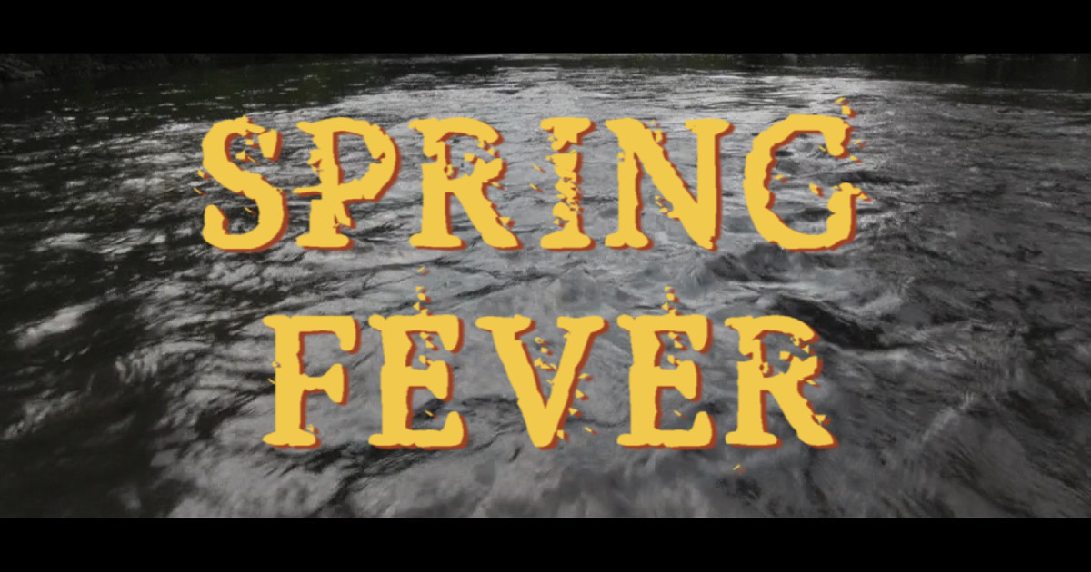 Spring Fever Post Campaign | Indiegogo