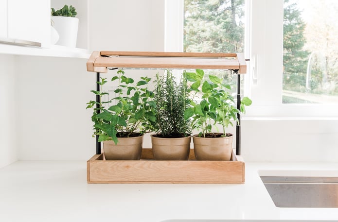 Breakthrough: a new way to garden | Indiegogo
