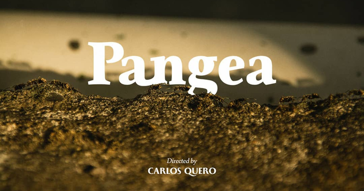 Pangea - Shortfilm | Indiegogo