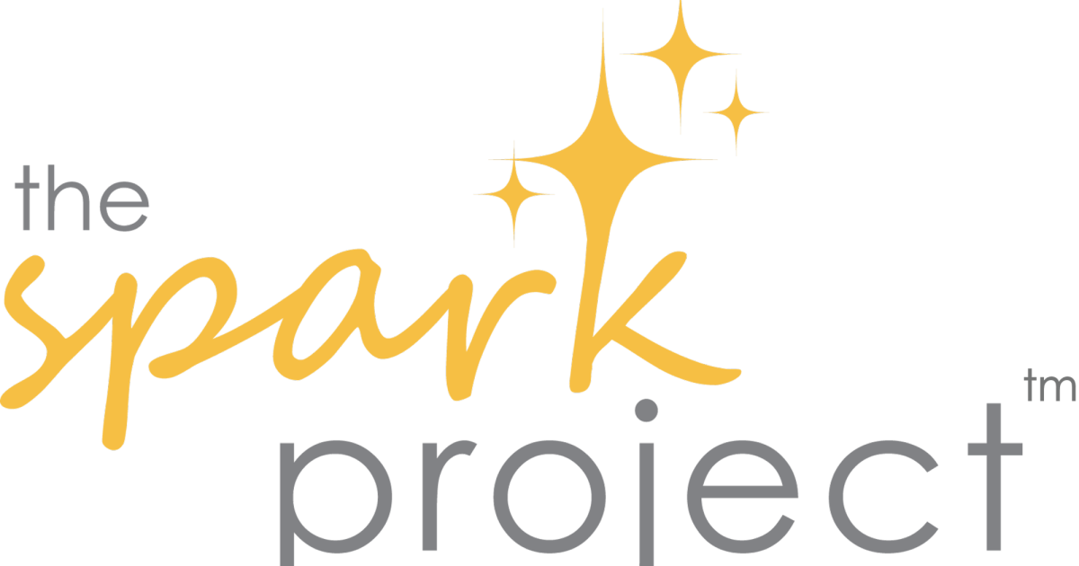 The Spark Project | Indiegogo