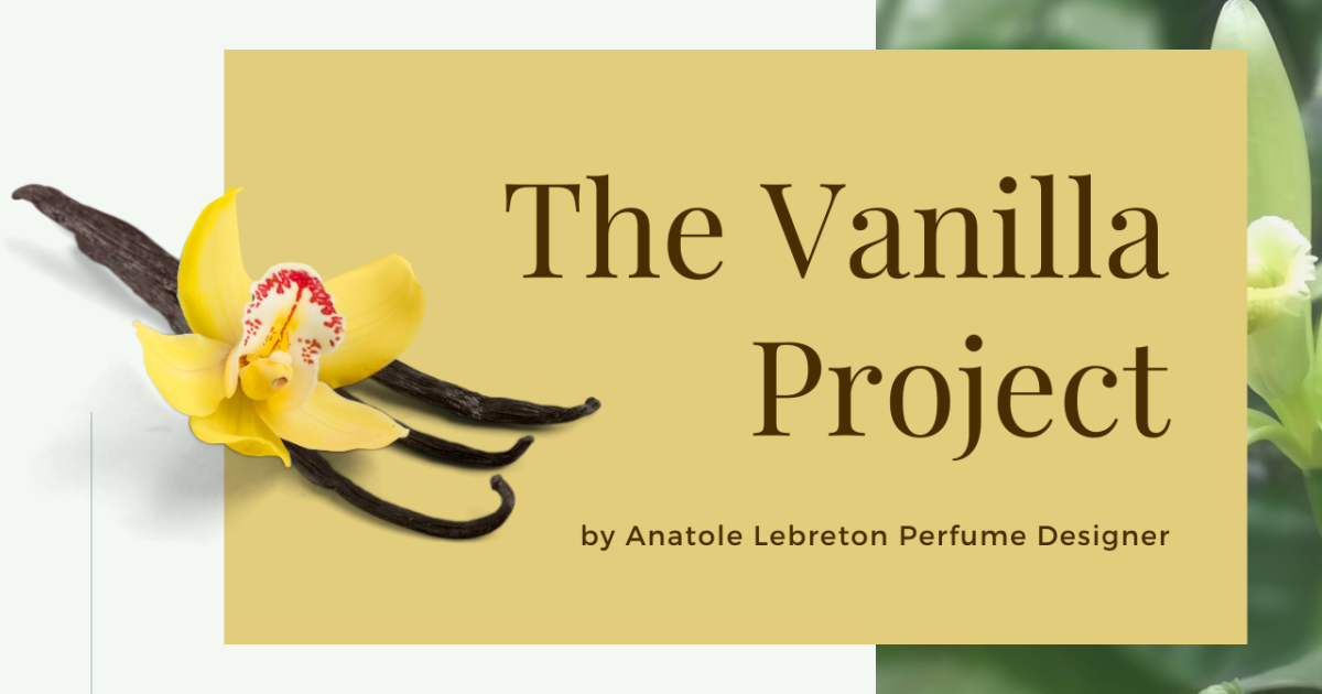 The Vanilla Project | Indiegogo