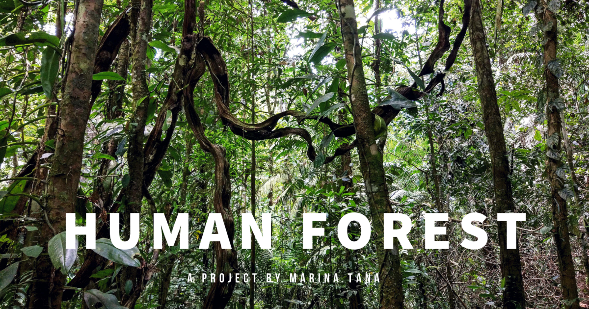 HUMAN FOREST Photo exhibition on the Amazon | Indiegogo
