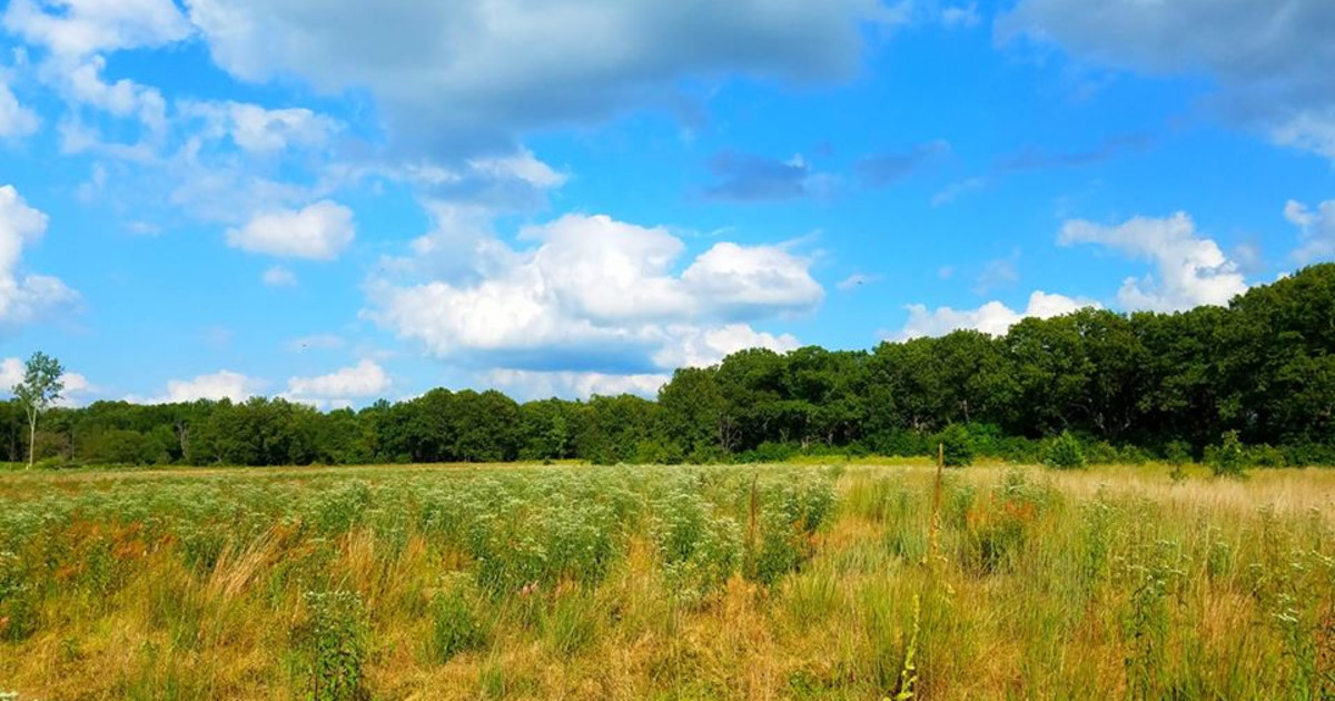 The Land of Odd Nature Retreat & Cabin | Indiegogo