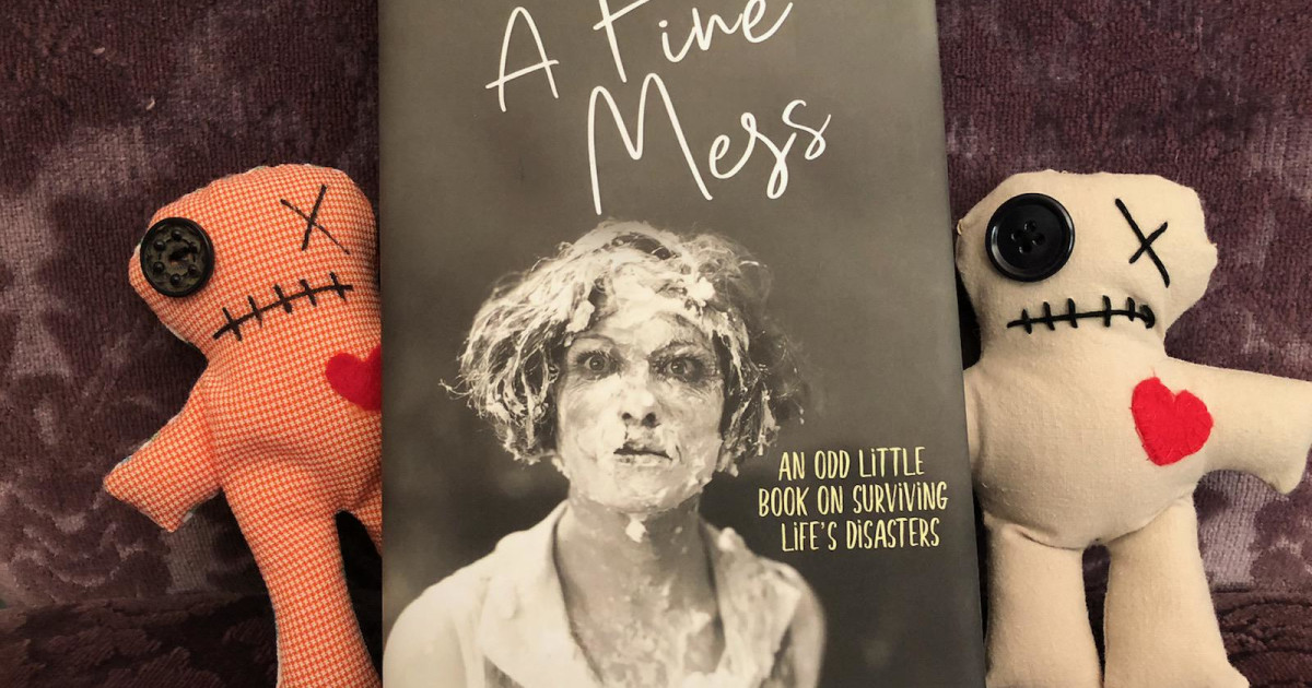 A Fine Mess Book Launch | Indiegogo