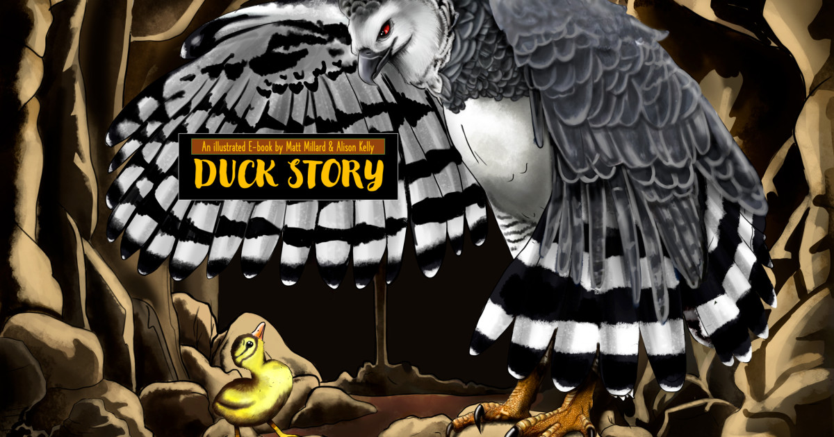 DUCK STORY | Indiegogo