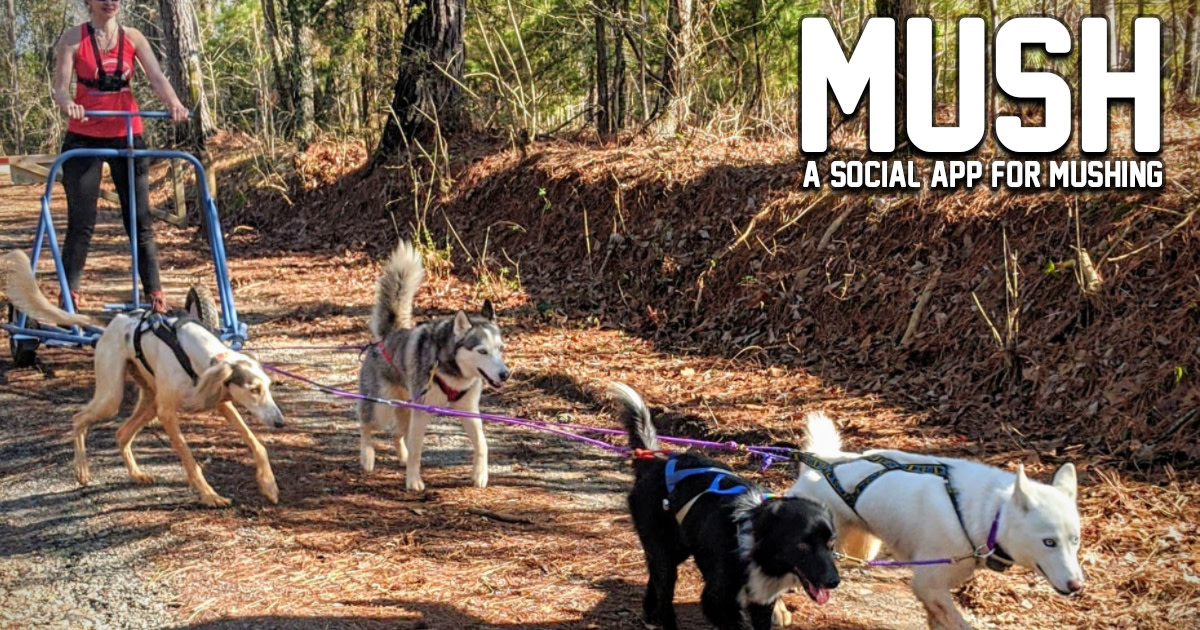 Mush, a social app for dog mushing and bikejoring | Indiegogo