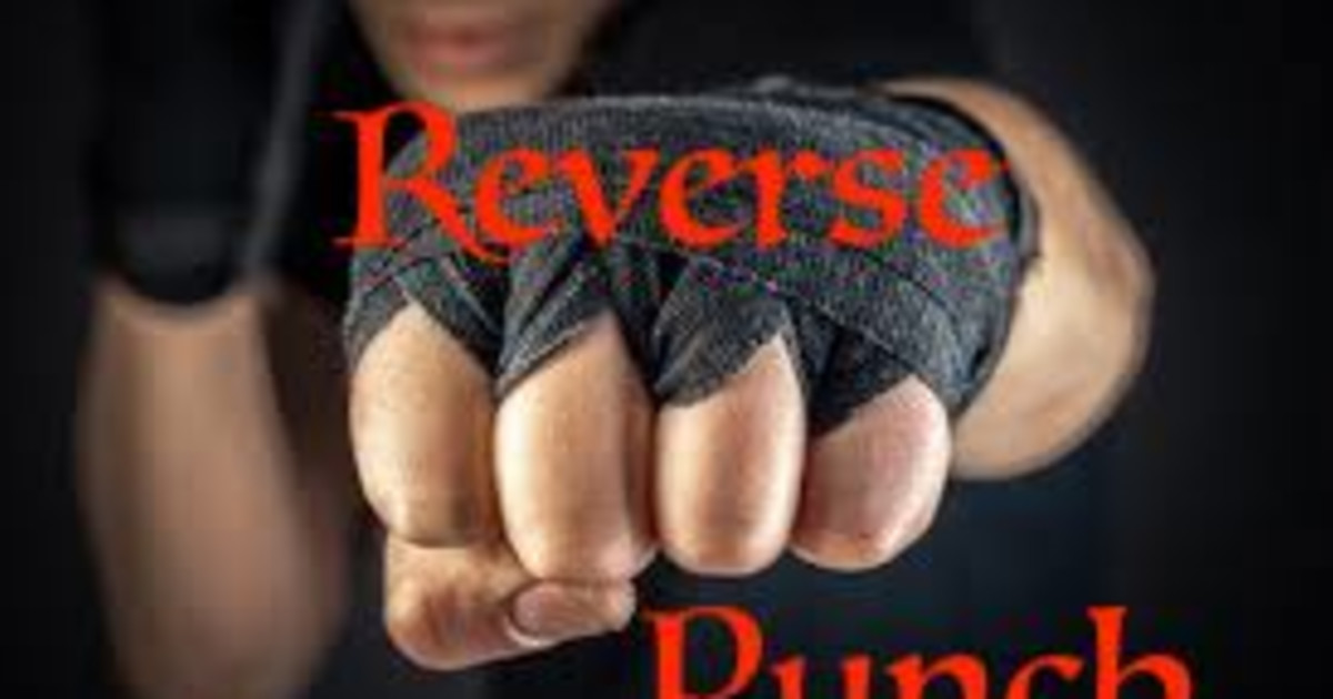 Reverse Punch | Indiegogo