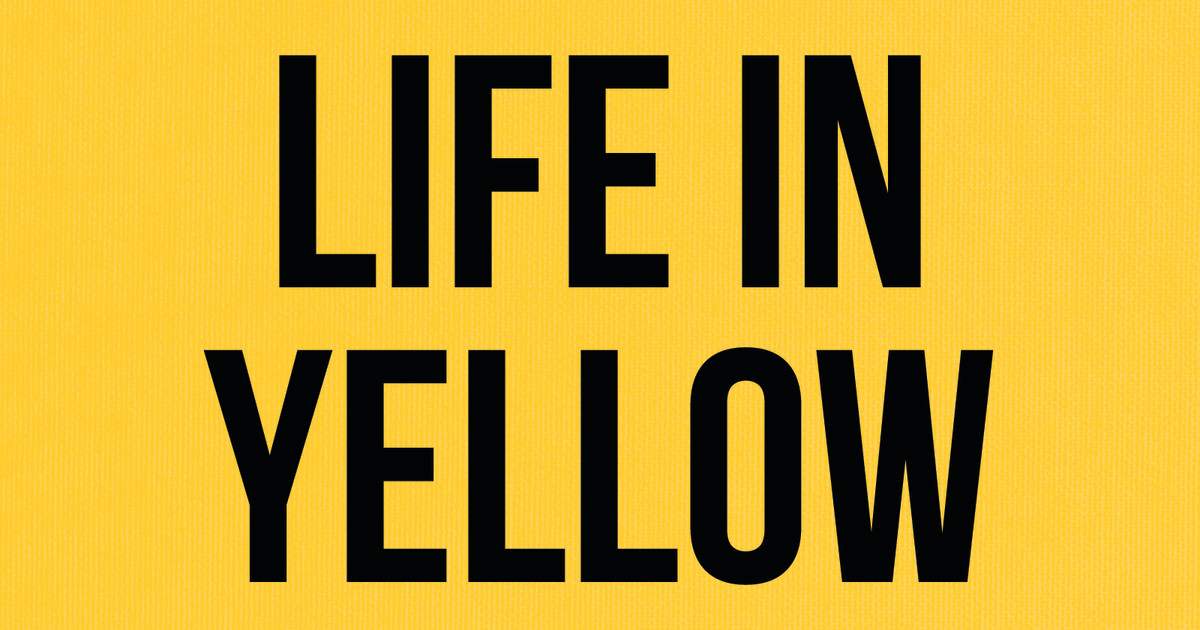 Life in Yellow by Liz Irons | Indiegogo