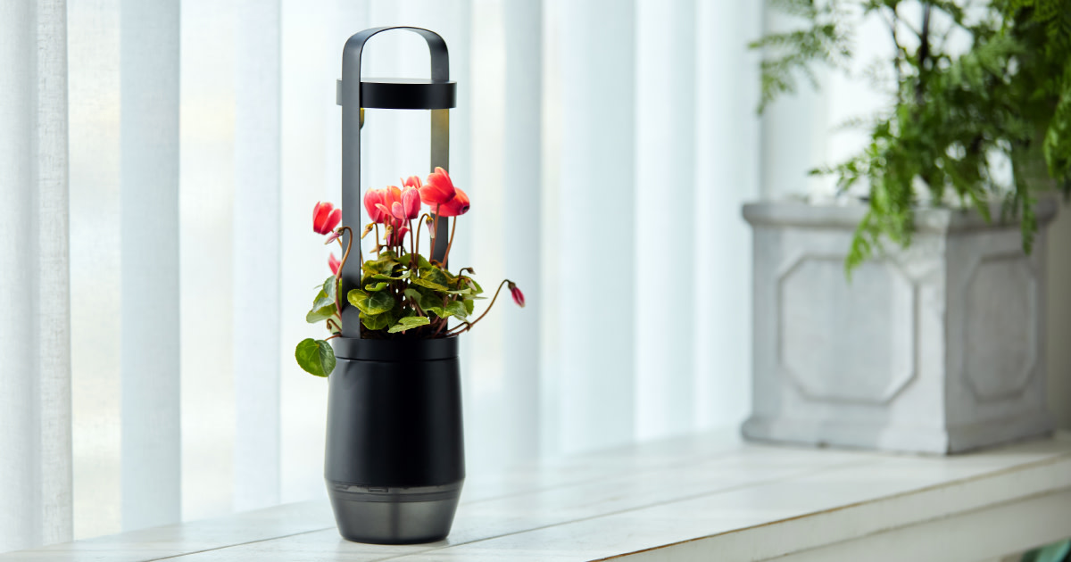s-pot: The Engine Behind Your Plant's Bloom | Indiegogo