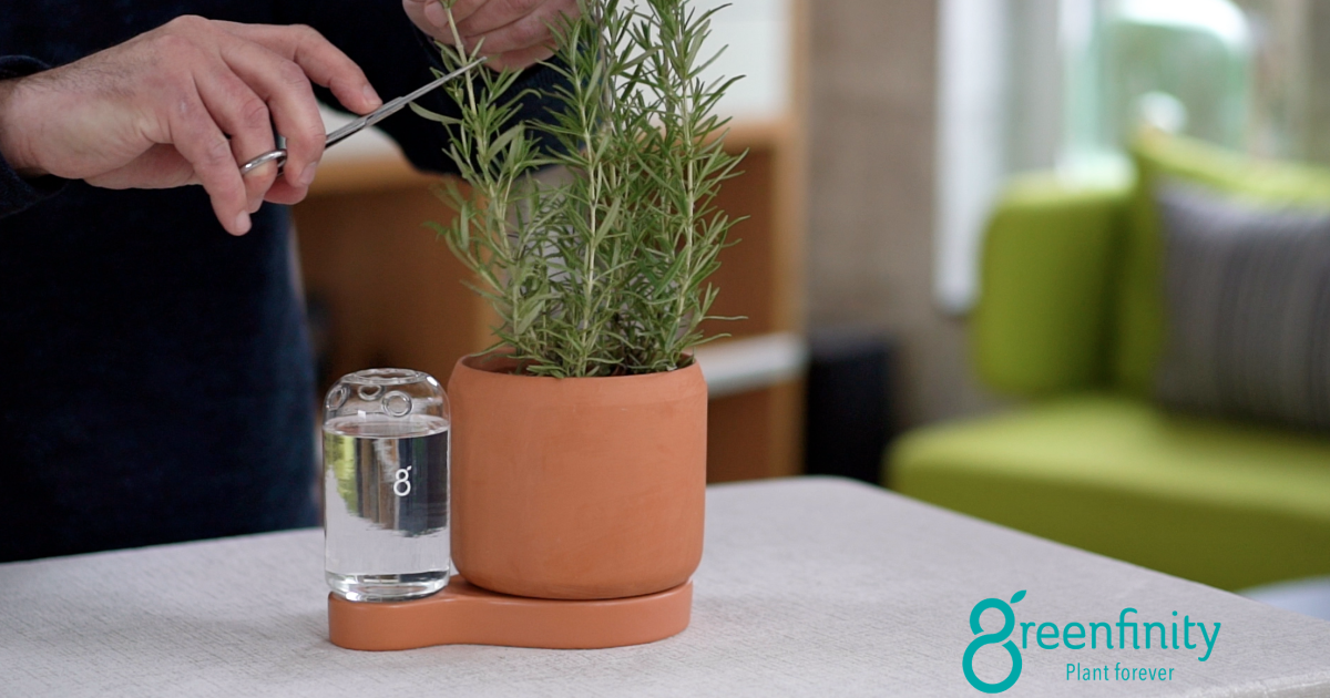 Greenfinity Grow plants infinitely & effortlessly | Indiegogo