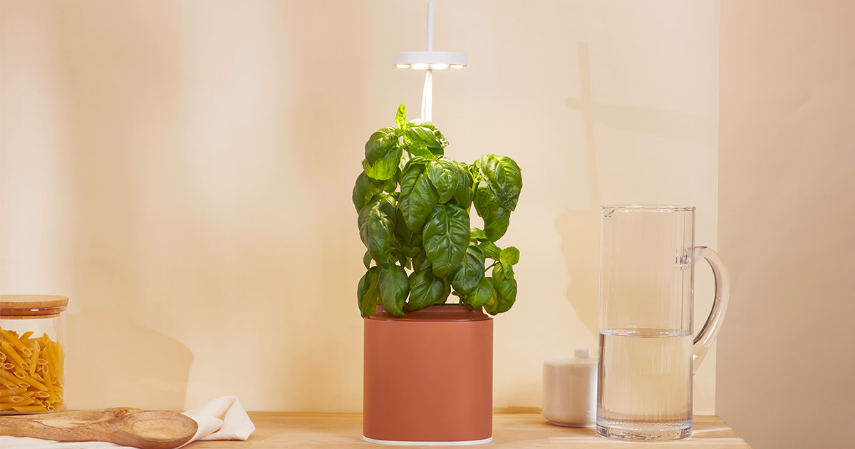 Nano Garden - From seed to plant in a smart garden | Indiegogo