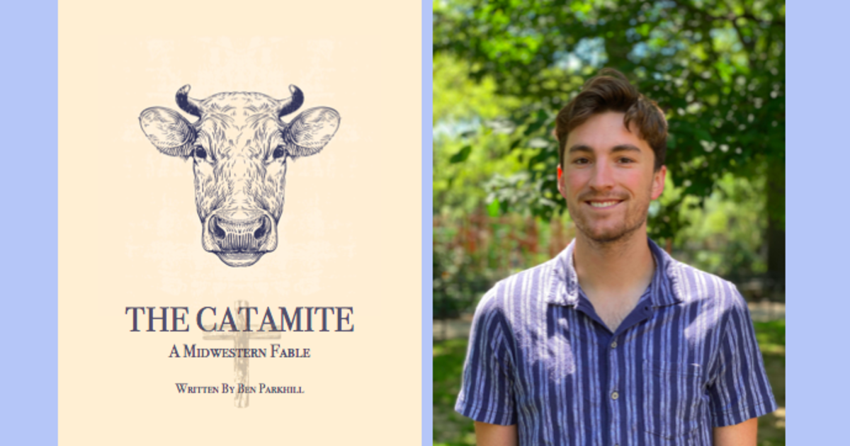 The Catamite, BBTF | Indiegogo