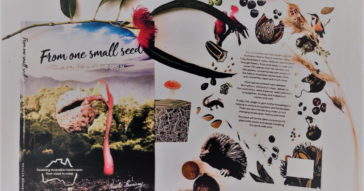 First Edition of One Small Seed a Forest is Born | Indiegogo