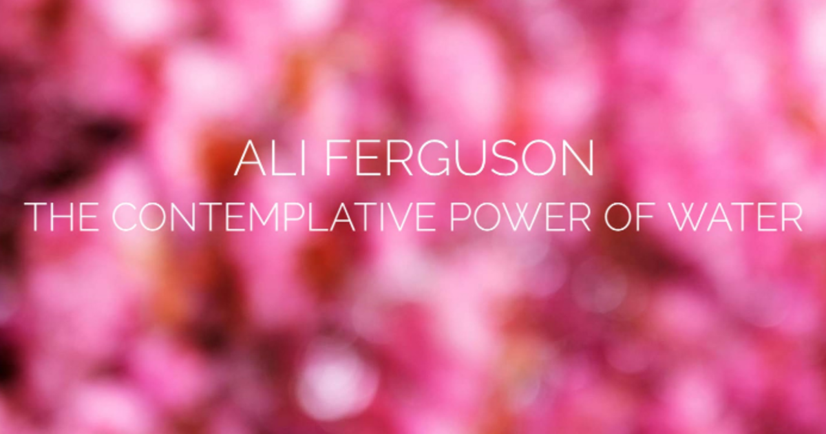 Ali Ferguson - New Studio Album | Indiegogo