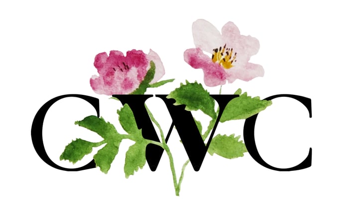 Community Wellness Collective | Indiegogo