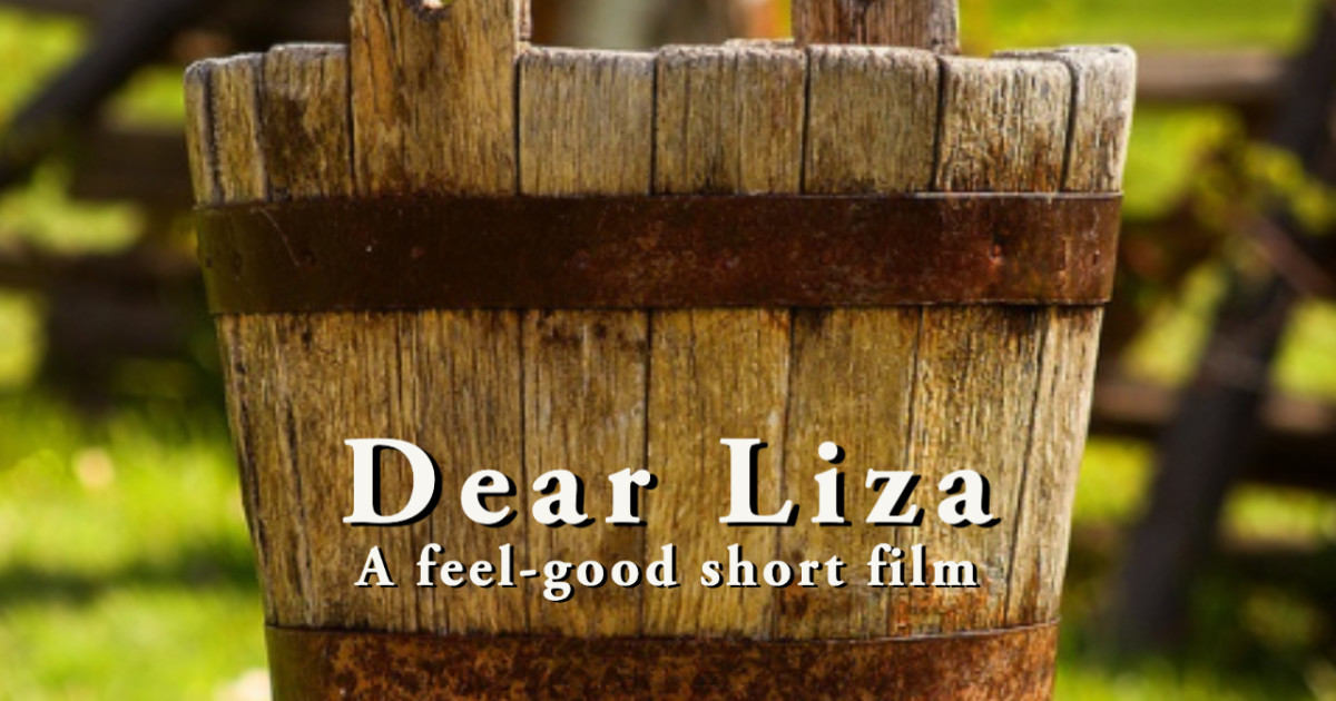Dear Liza | Indiegogo
