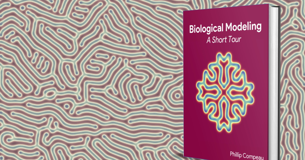 Biological Modeling: A Short Tour | Indiegogo