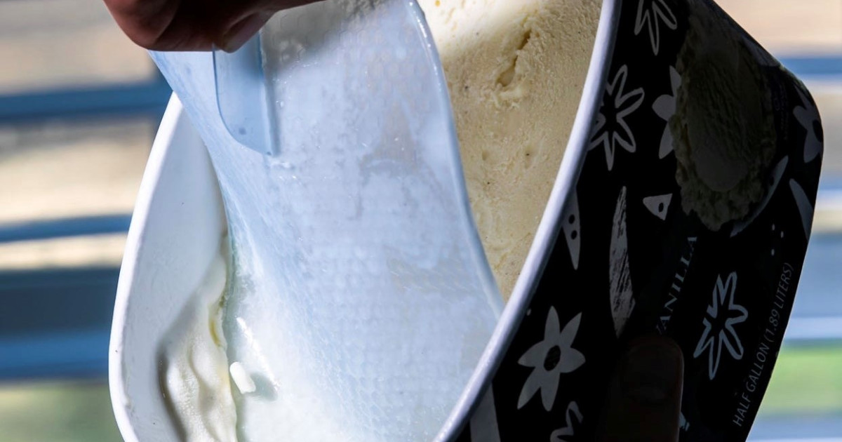 Ice Cream Guard | Indiegogo