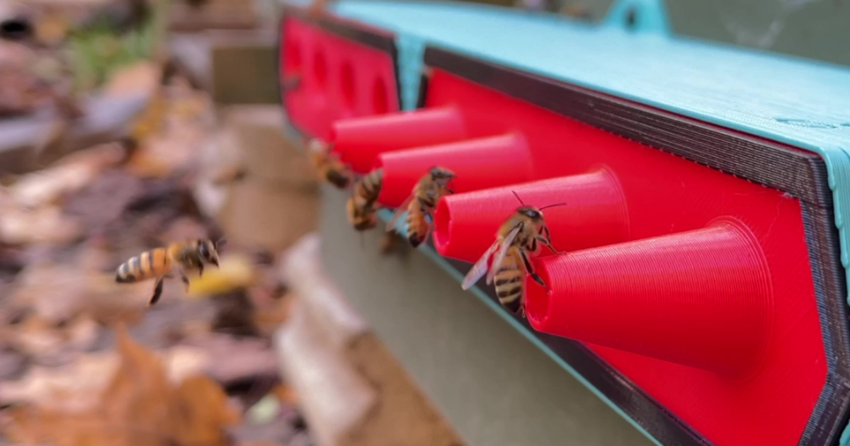 ProtectaBEE: All-In-One Adjustable Hive Entrance | Indiegogo