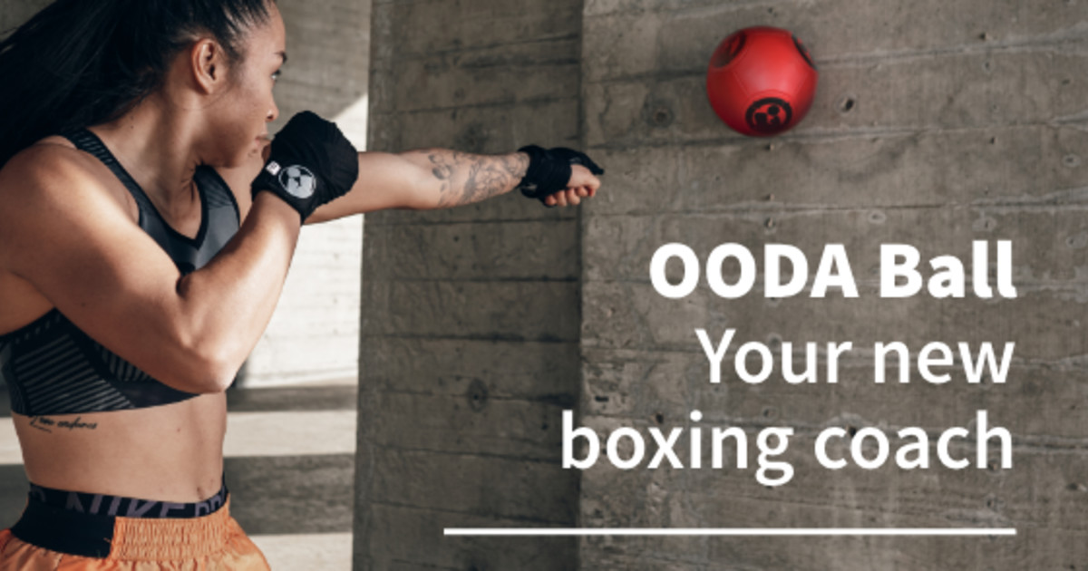 OODA Ball: World's first, free weight punching bag | Indiegogo