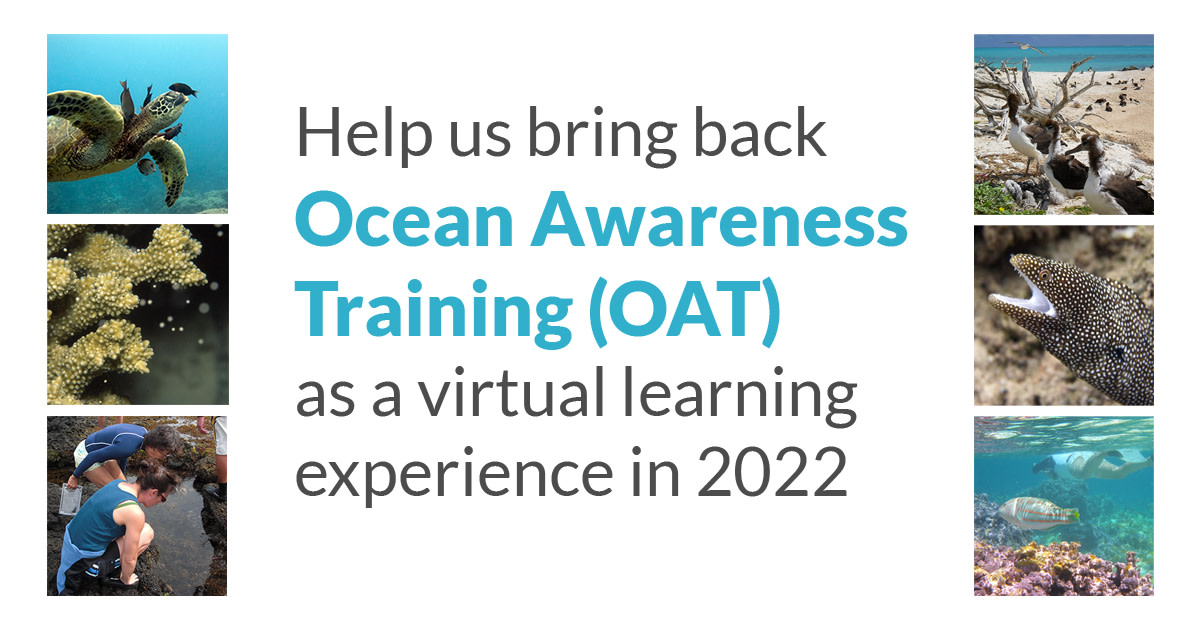 Ocean Awareness Training Reboot | Indiegogo