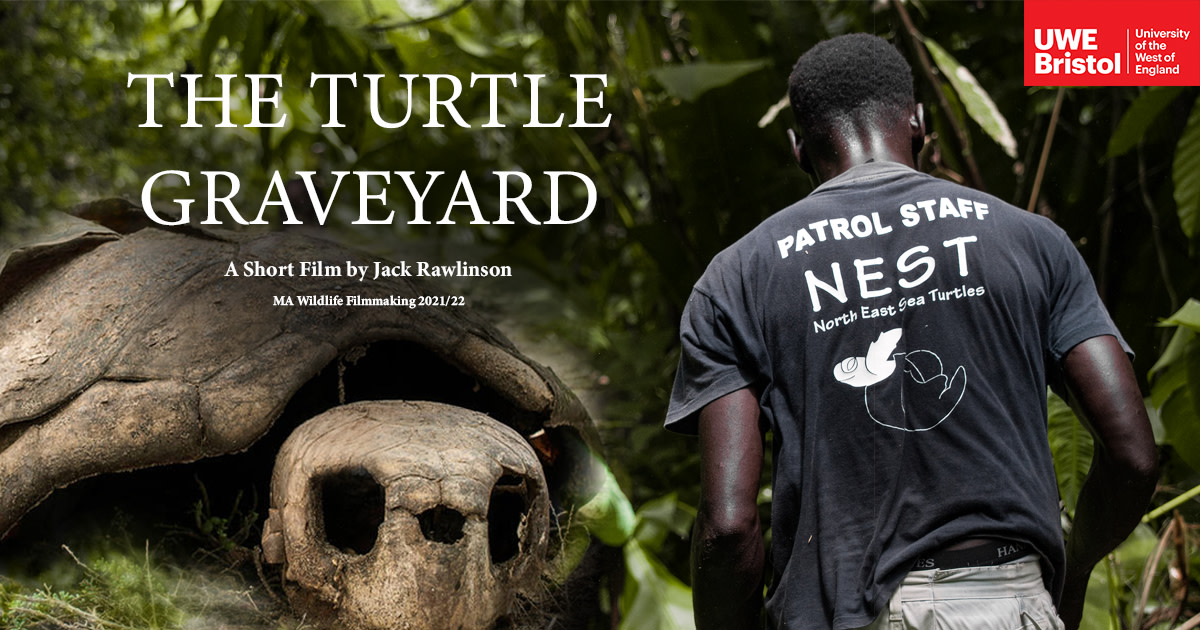 'The Turtle Graveyard' - A Short Film | Indiegogo