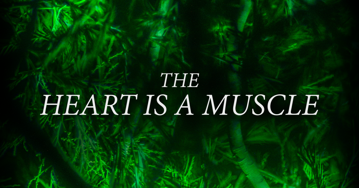 THE HEART IS A MUSCLE - Short Film | Indiegogo