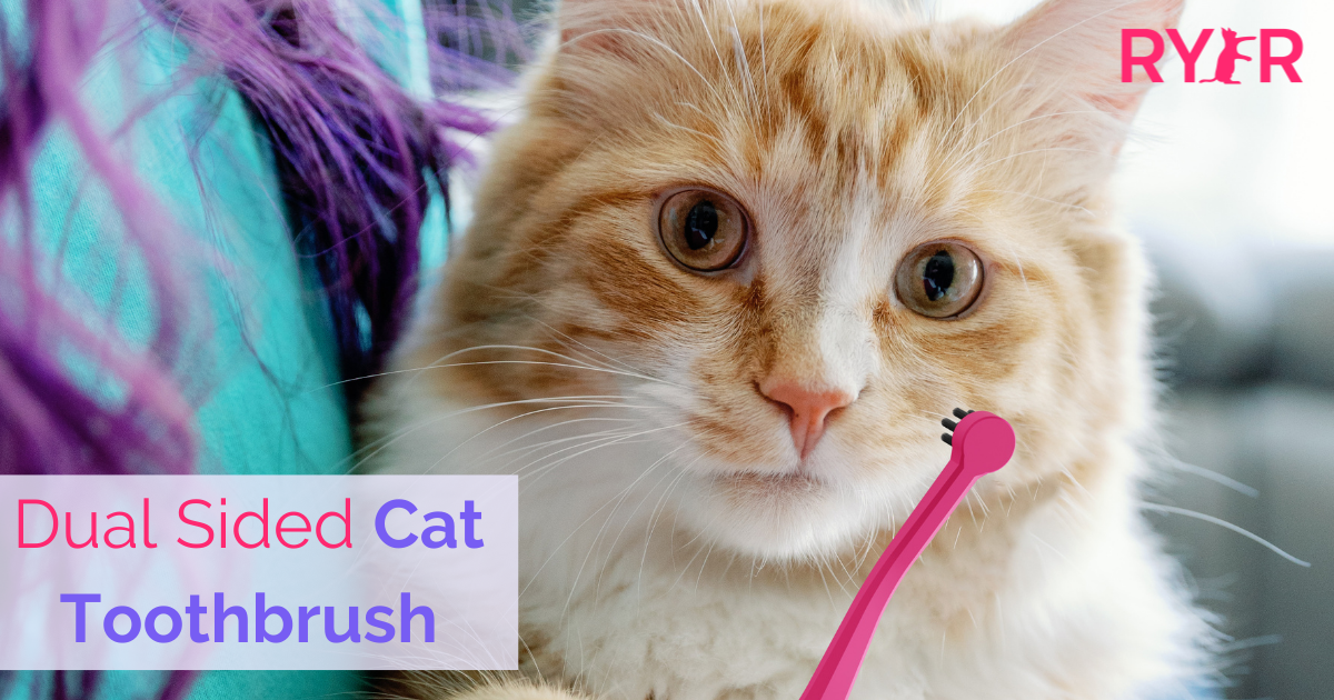 RYERCAT: The Dual Sided Cat Toothbrush | Indiegogo