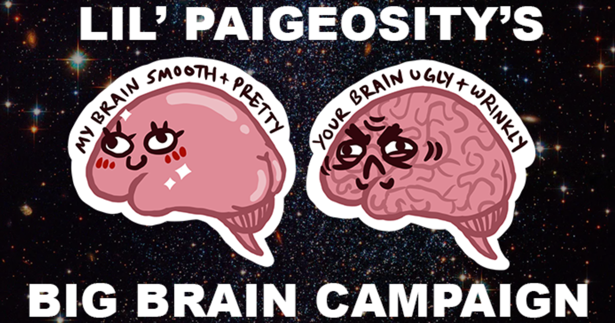 BIG BRAIN CAMPAIGN | Indiegogo