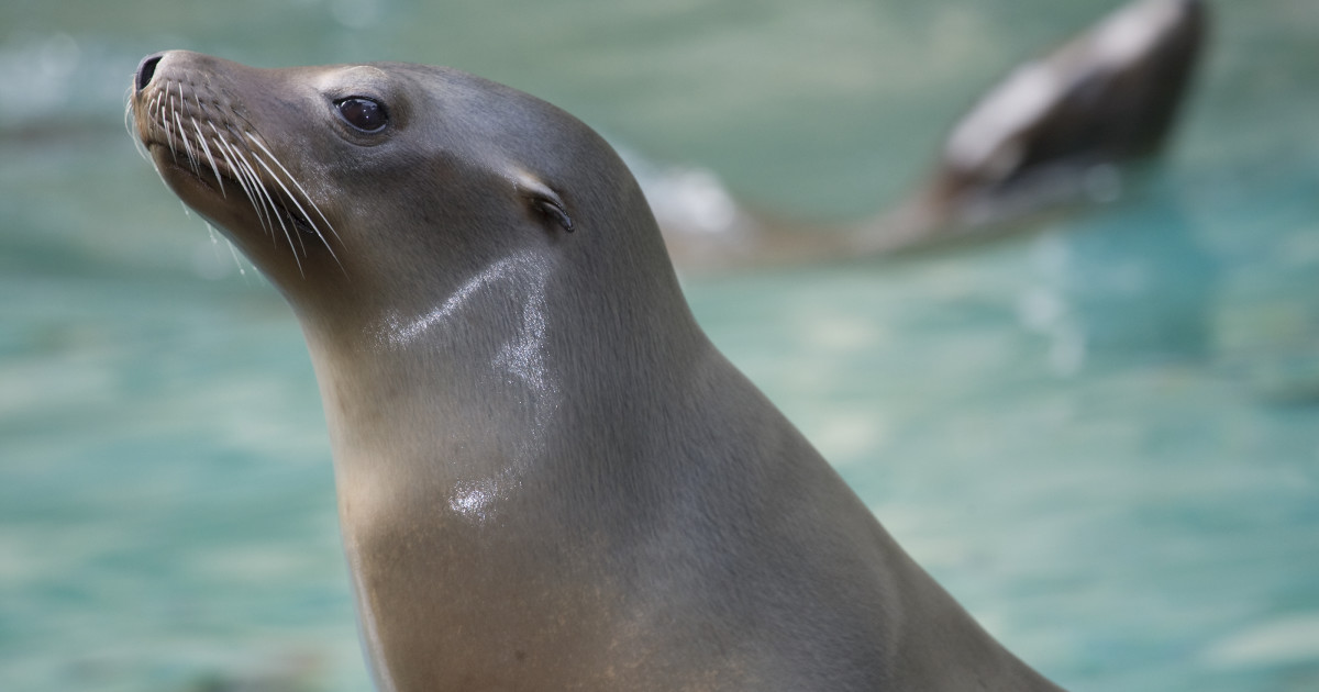 Flipping Off | Indiegogo