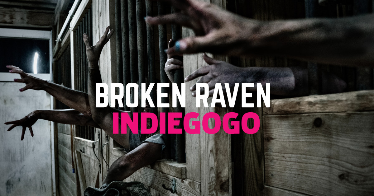 BROKEN RAVEN | Indiegogo