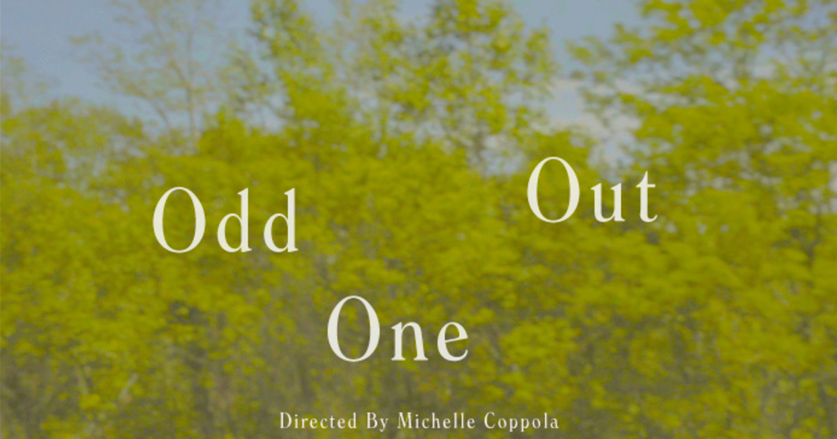 Odd One Out Indiegogo
