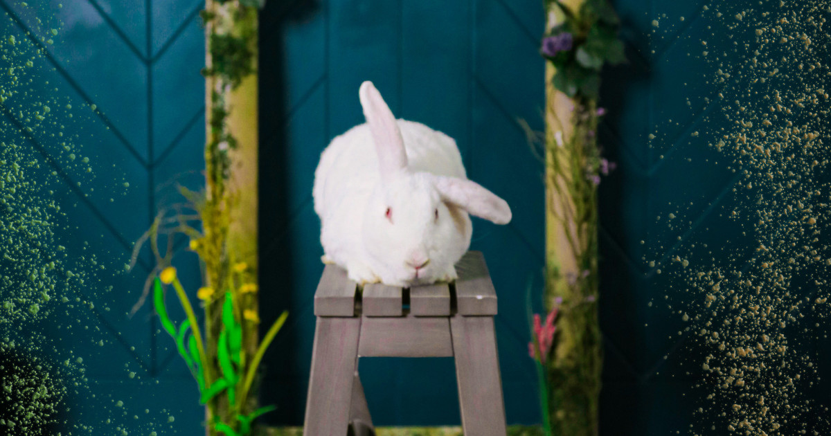 Fable Feature Film Post-Production Fund | Indiegogo