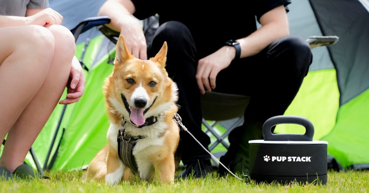 Pup Stack | Indiegogo