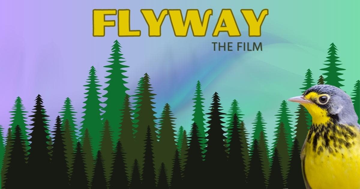 FLYWAY - A Short Animated Film | Indiegogo