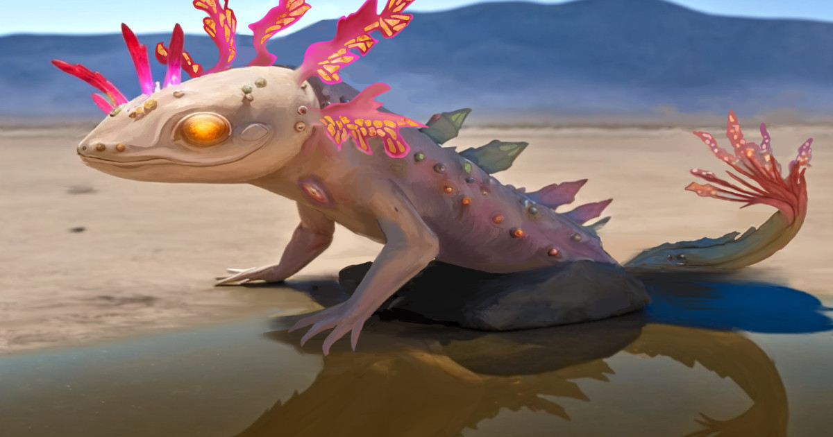 Axolotl Frequency | Indiegogo