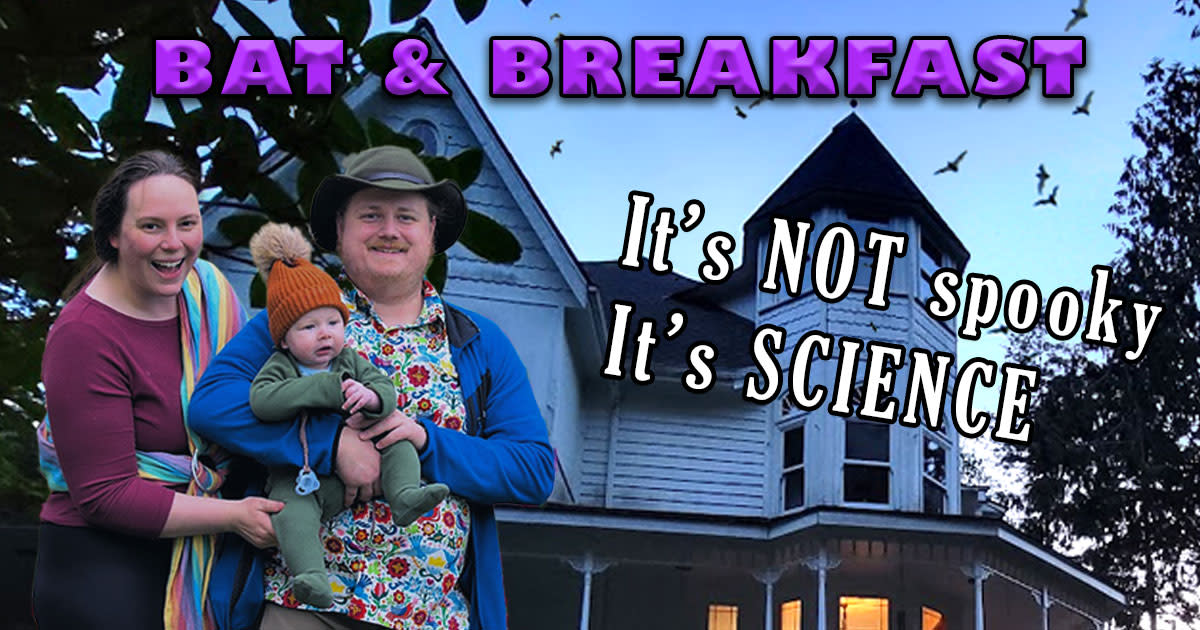 Bat & Breakfast - Save our Home, Build a Community | Indiegogo