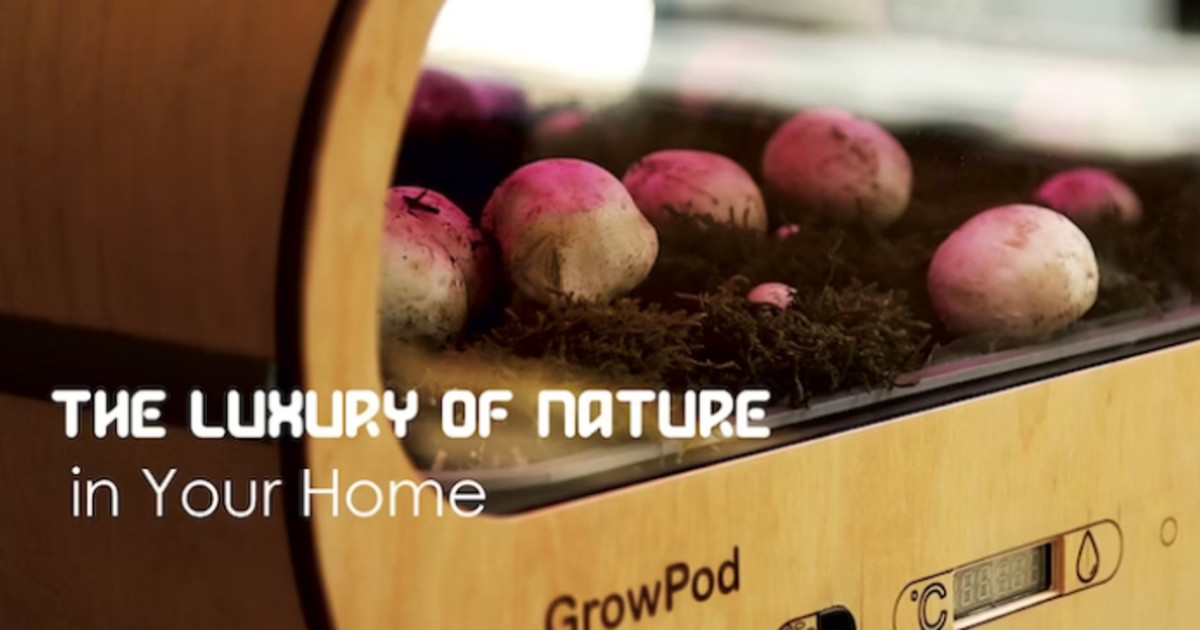 AUTO PLANTER FOR GROWING MUSHROOMS & MICROGREENS | Indiegogo
